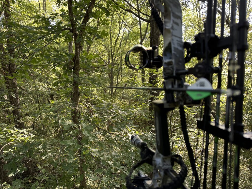 How to choose a compound bow for deer hunting: Step-by-Step – Whitetail ...