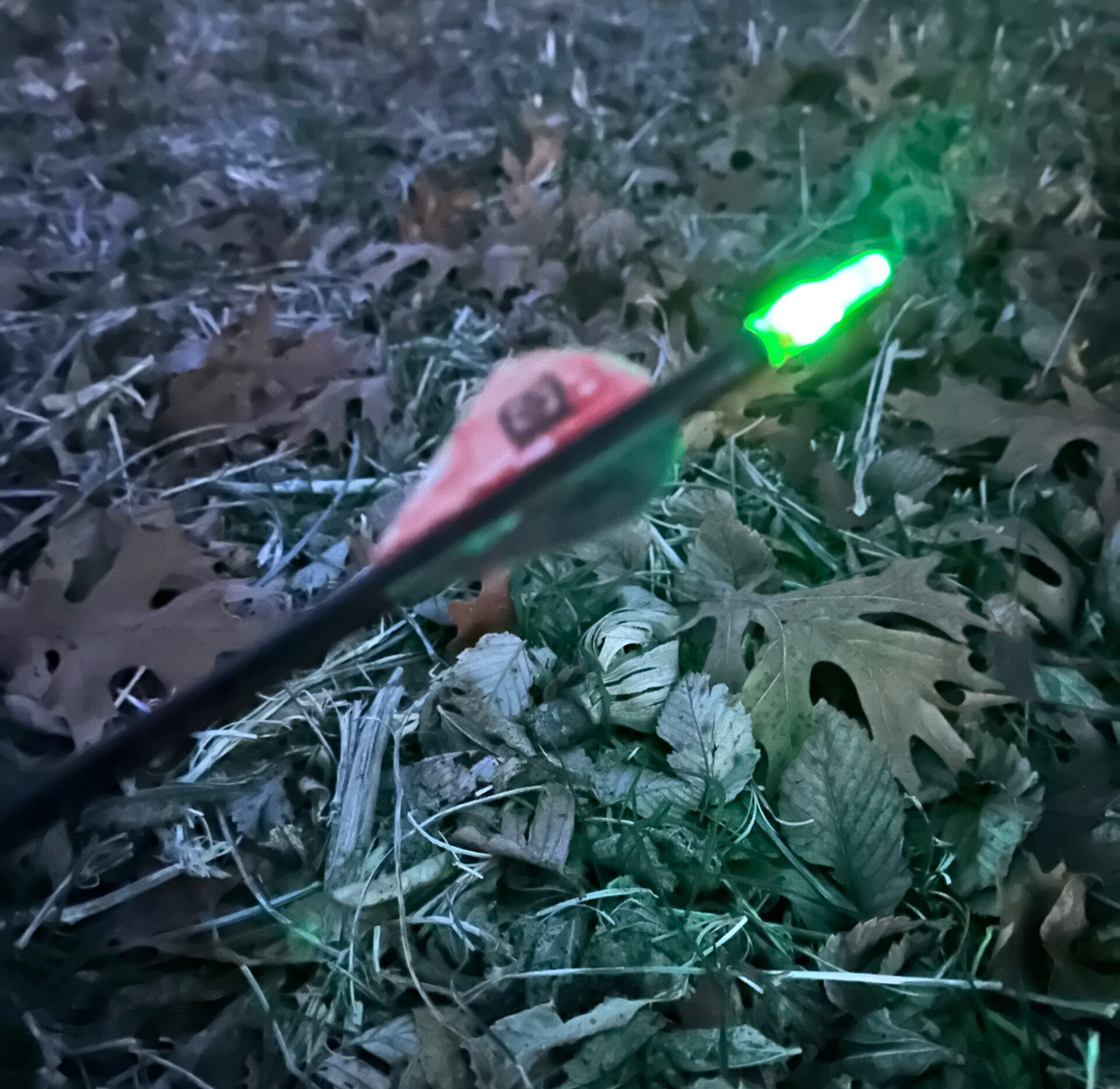 How To Find an Arrow After the Shot – Whitetail Advisor