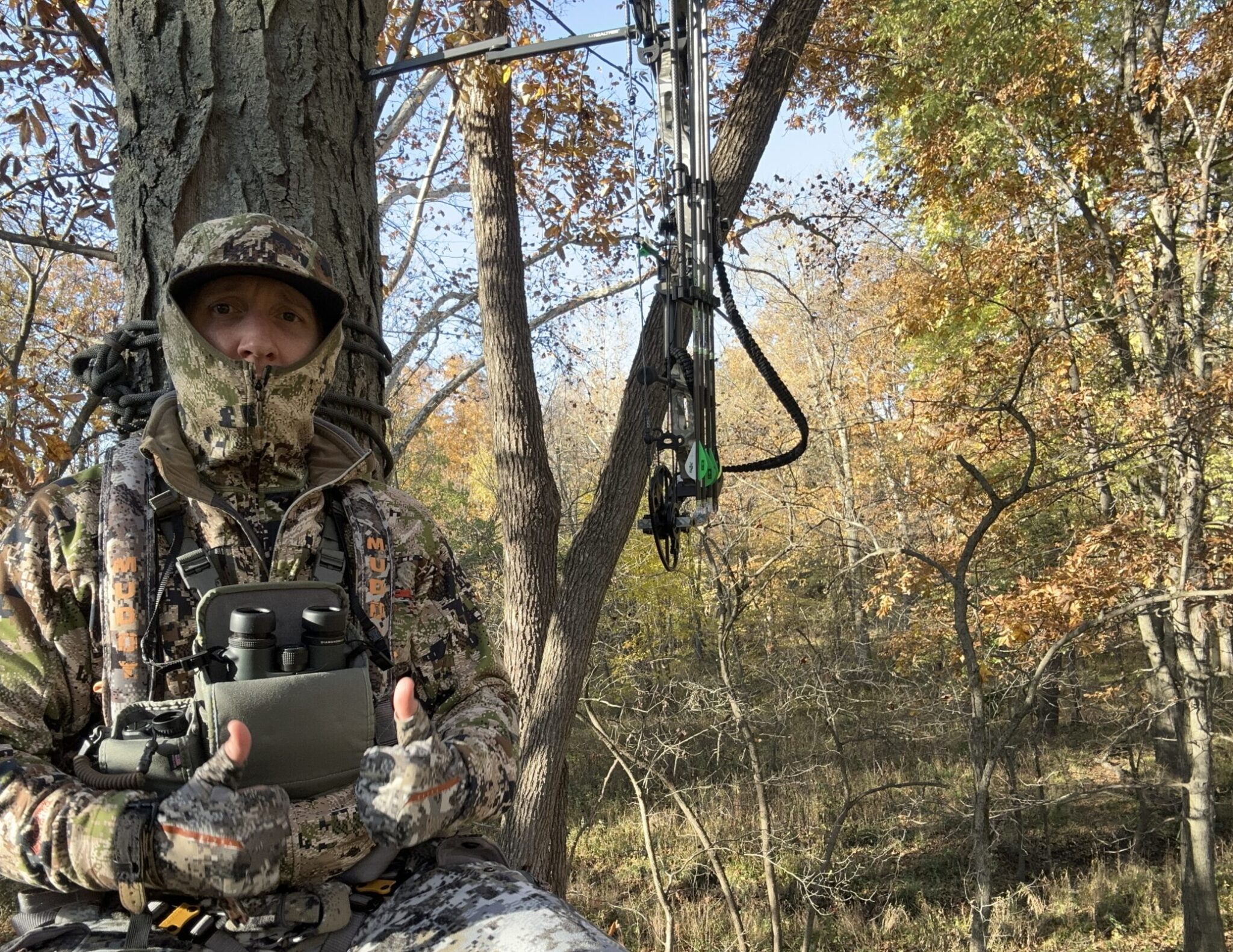 Start hunting deer with a compound bow: Step-by-Step Guide – Whitetail ...